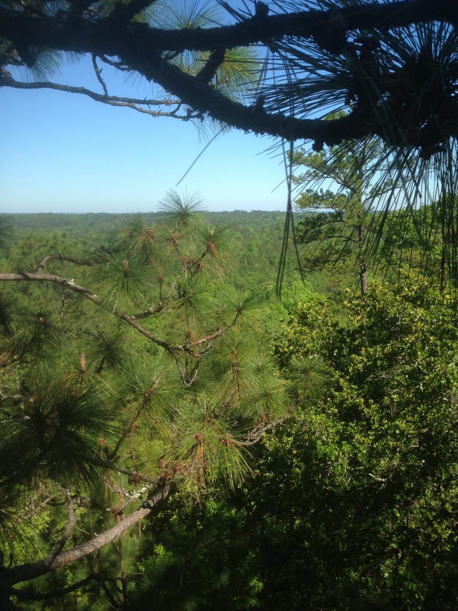 Yates Lake Gallery | Welcome to CRATA