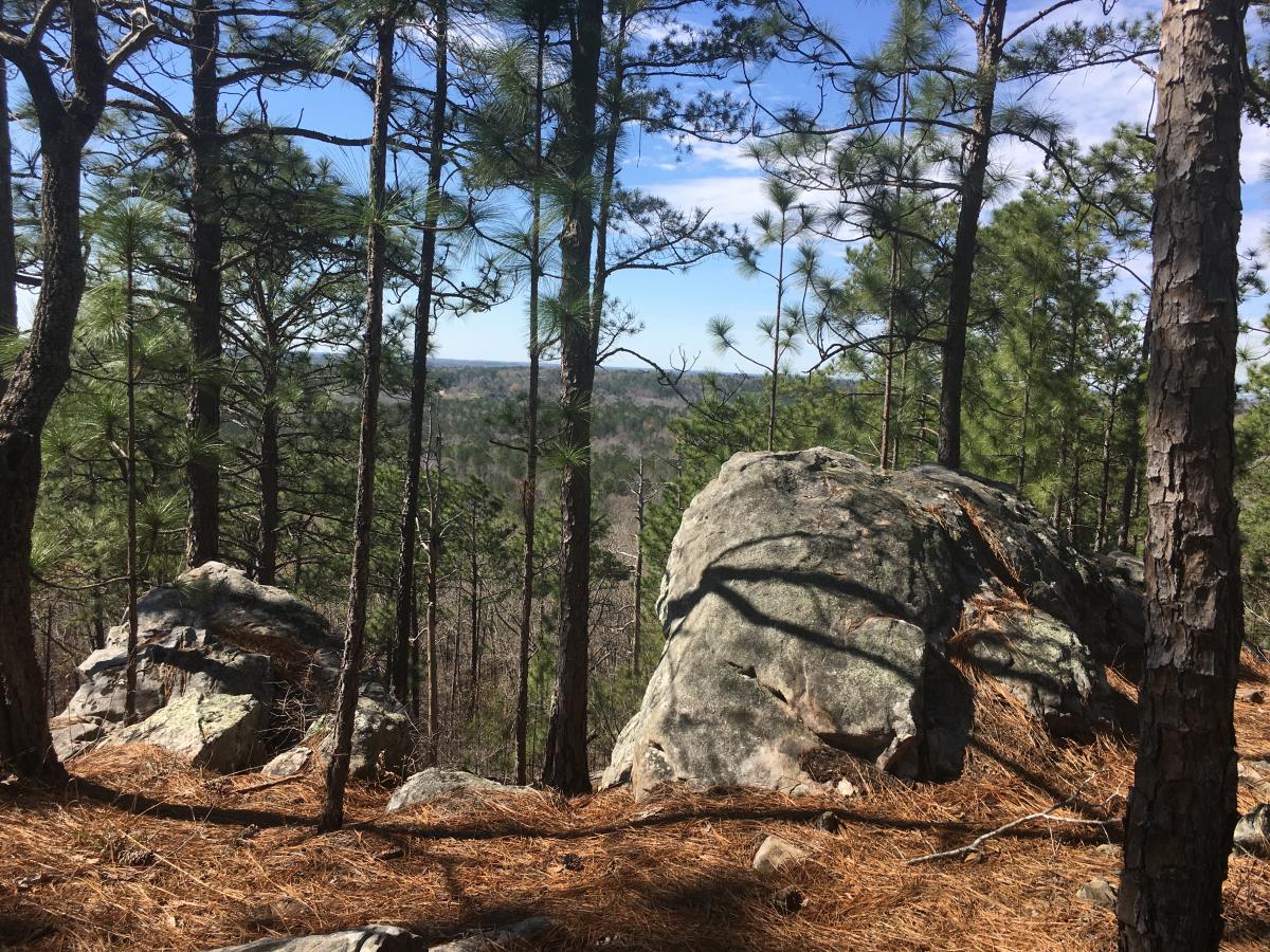 Yates Lake Gallery | Welcome to CRATA