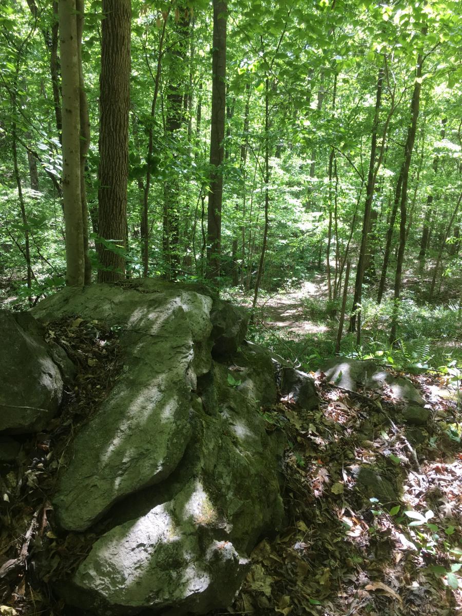 Yates Lake Gallery | Welcome to CRATA