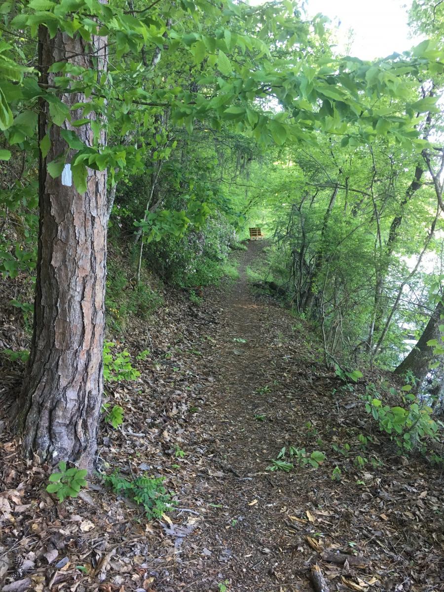 Yates Lake Gallery | Welcome to CRATA