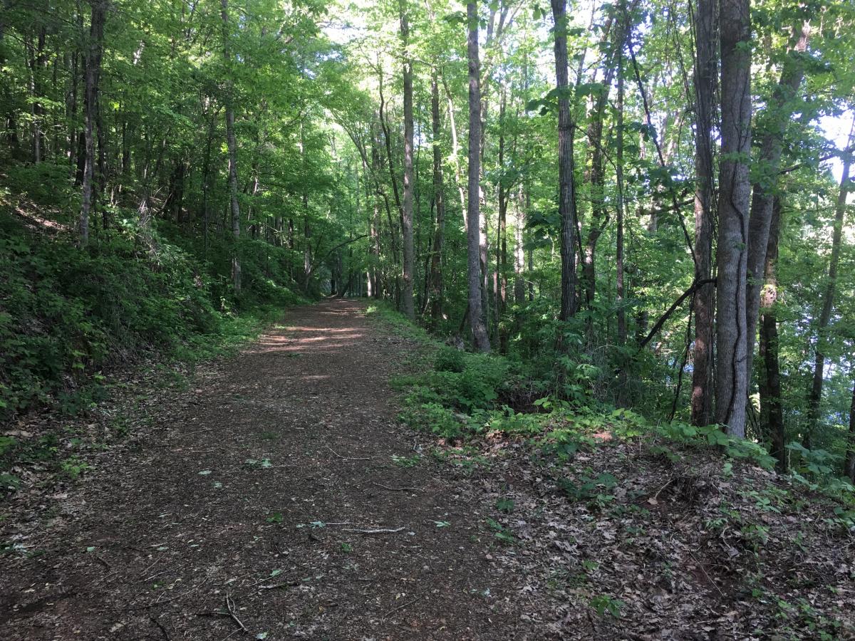 Yates Lake Gallery | Welcome to CRATA