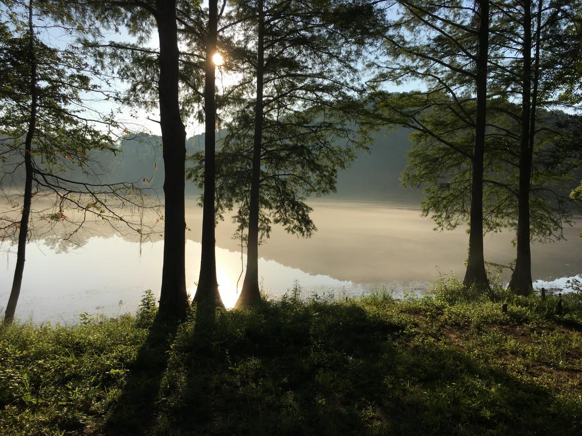 Yates Lake Gallery | Welcome to CRATA