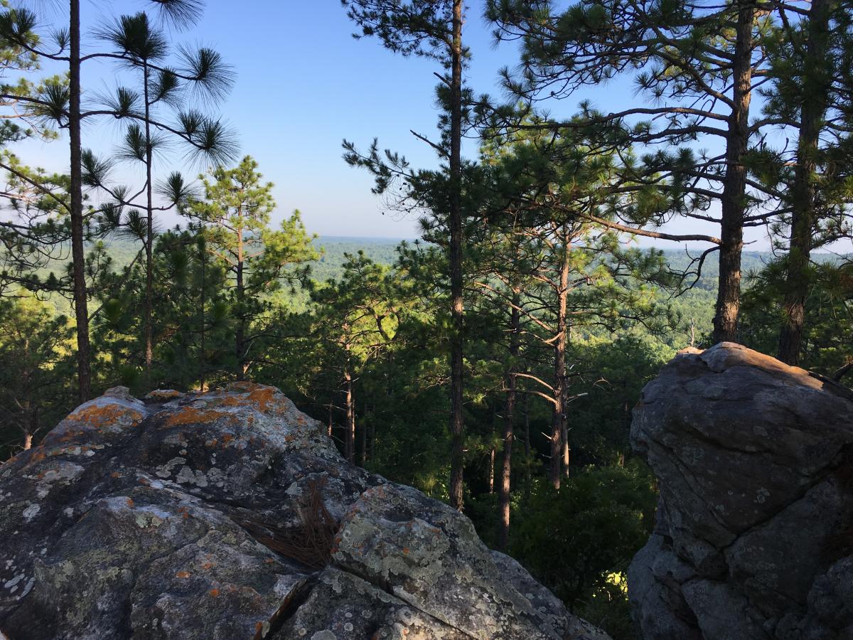 Yates Lake Gallery | Welcome to CRATA