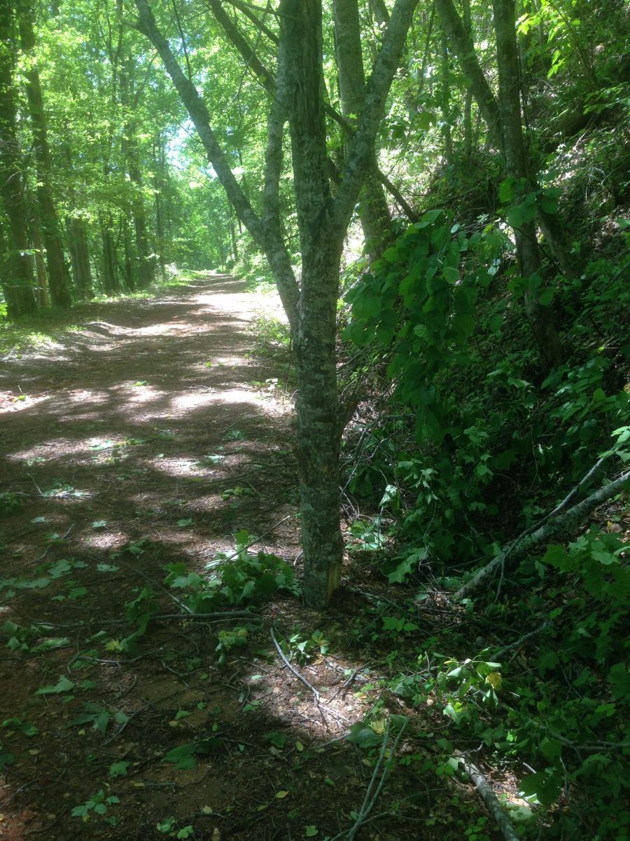 Yates Lake Gallery | Welcome to CRATA