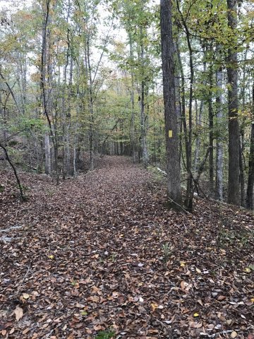 Yates Lake Gallery | Welcome to CRATA