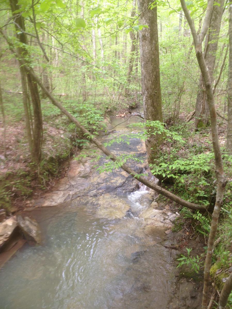 Yates Lake Gallery | Welcome to CRATA