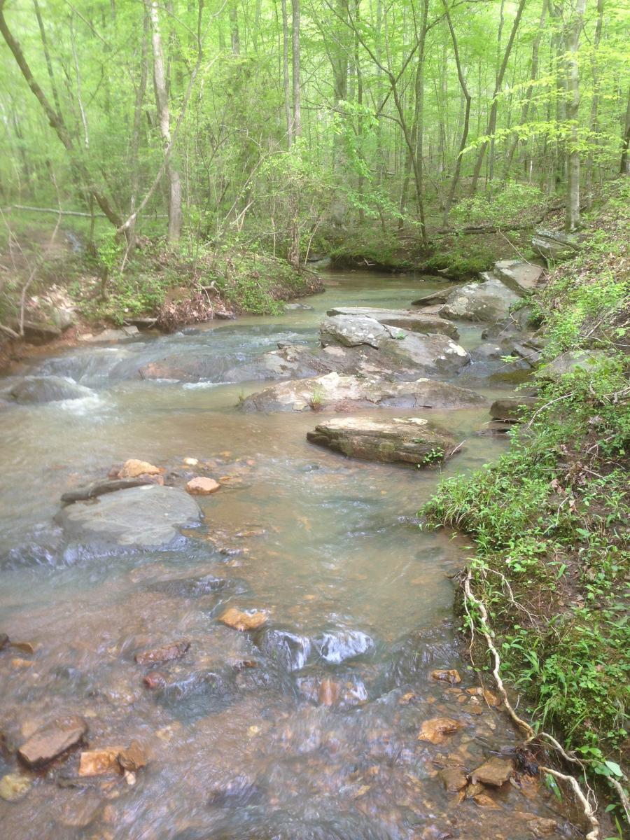 Yates Lake Gallery | Welcome to CRATA